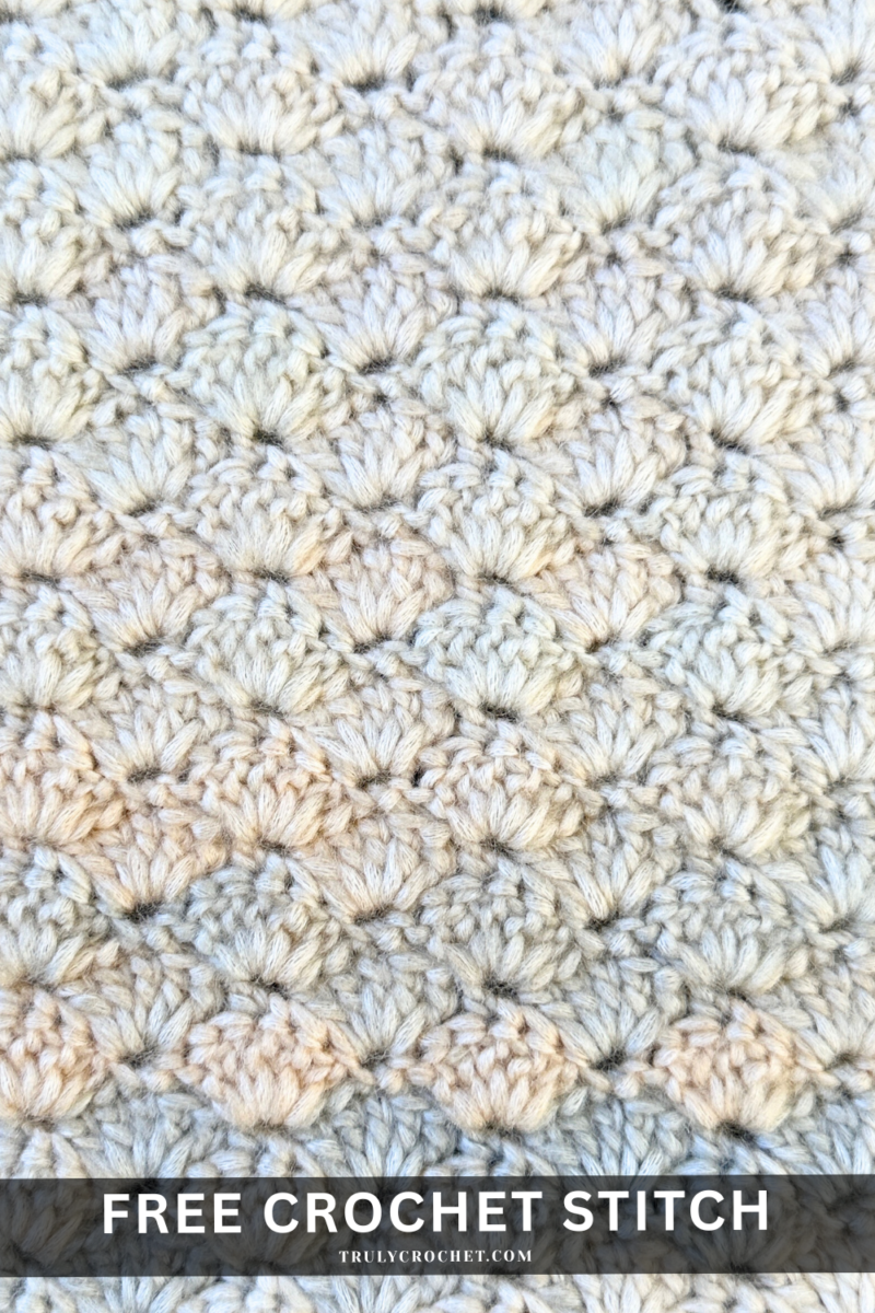 How To Crochet The Shell Stitch - Truly Crochet
